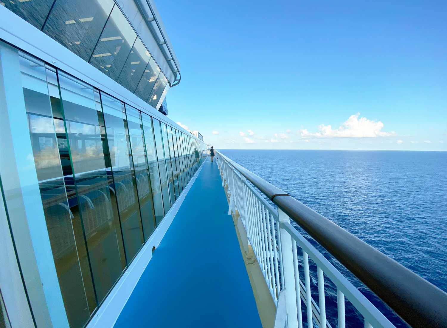How to Track a Cruise Ship Run Using Garmin Lap Feature